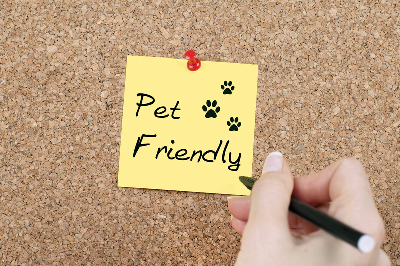 Tips on booking pet friendly accommodation