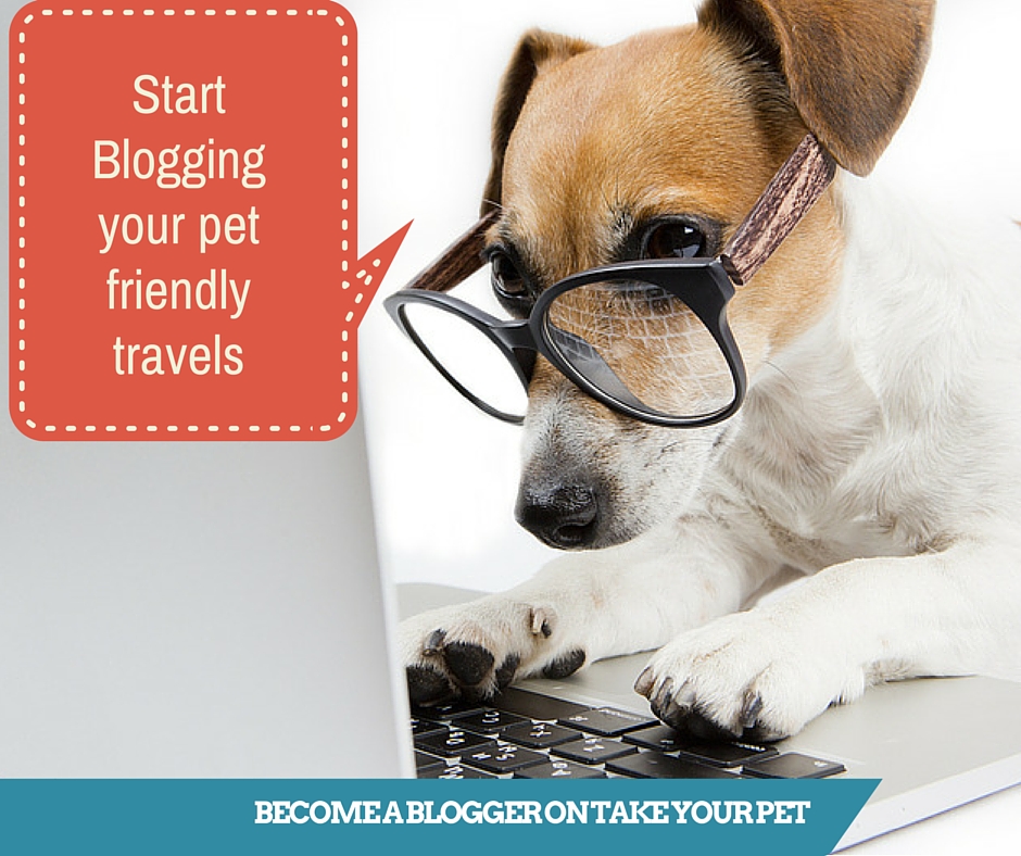 Start blogging your pet friendly travels