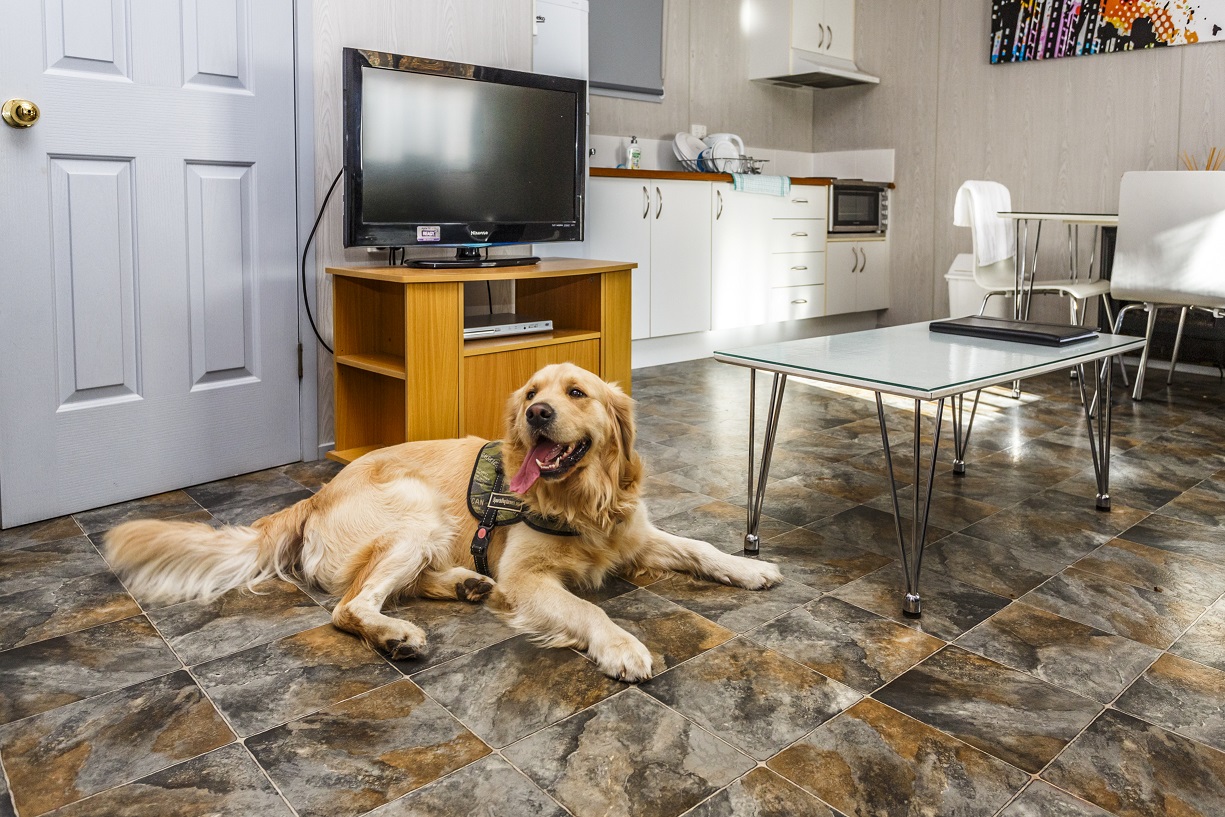 Porepunkah Bridge Holiday Park - Take Your Pet