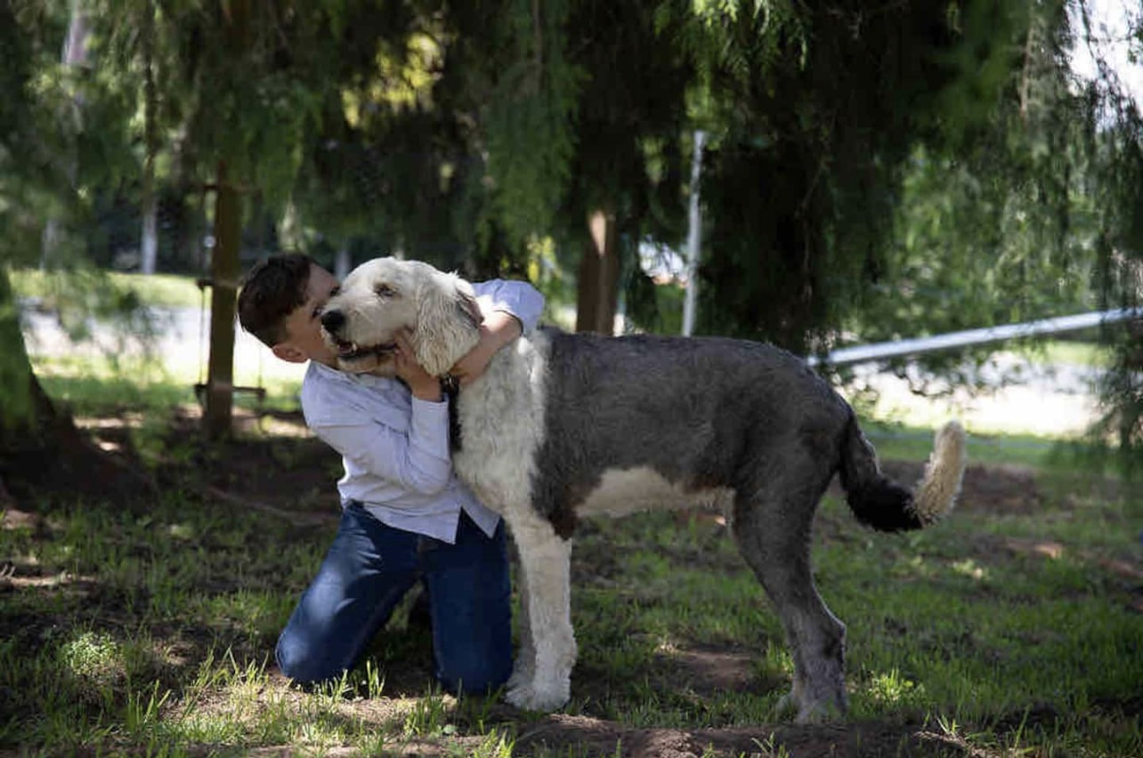 Woolbrook Cottage - Take Your Pet